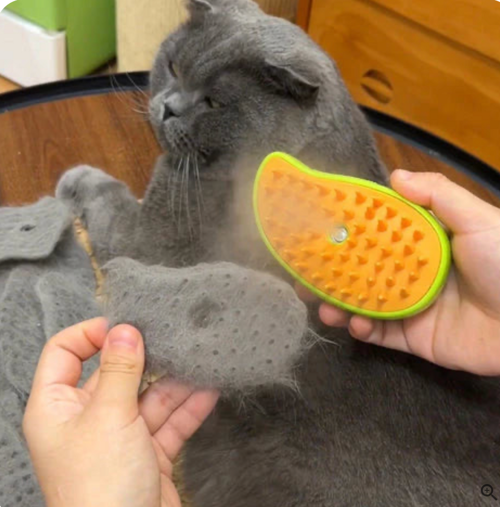 CatGlow - Cepillo Con Vapor Para Gatos y Perros – Productos Esenciales