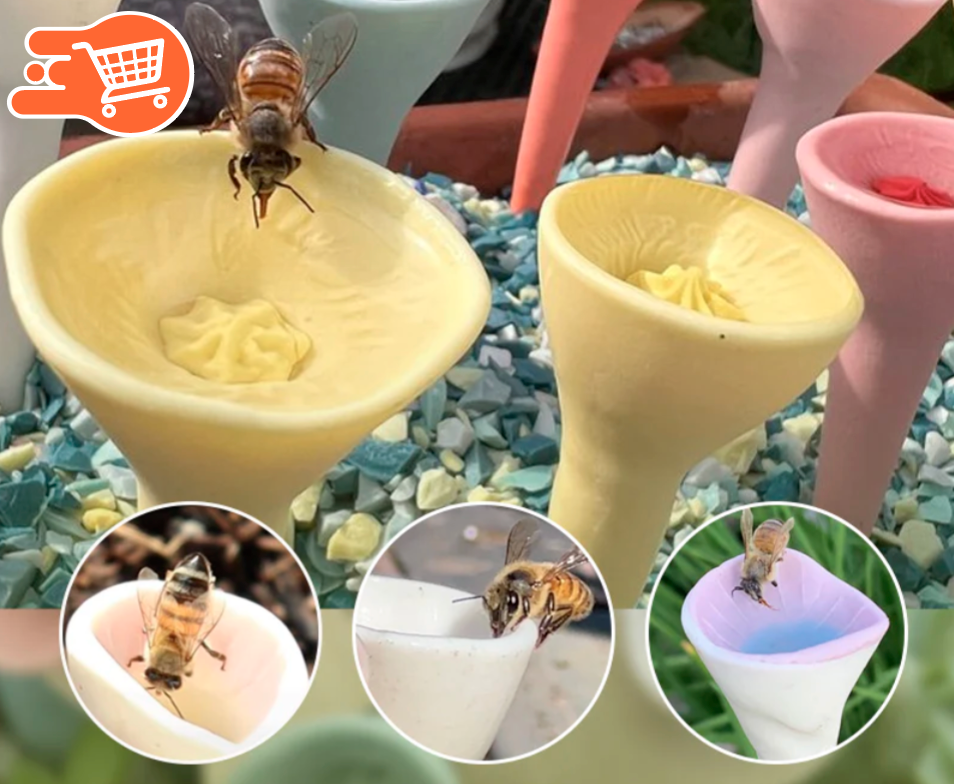 Bebedero para pajaros, abejas e insectos | 5 Unidades – Productos ...